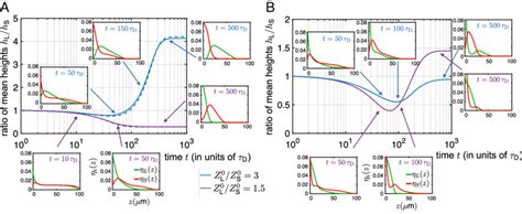 sedimentation dynamics of a binary mixture of charged colloids we