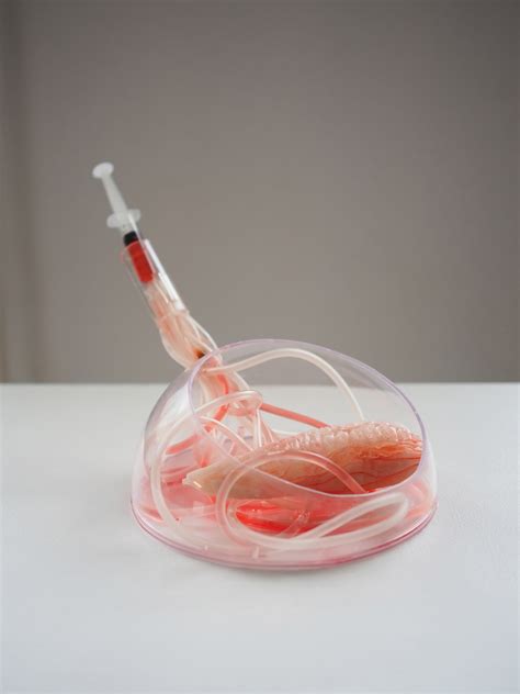 Kuang Yi Ku Proposes Creating Hybrid Animal Organs For Use In Chinese