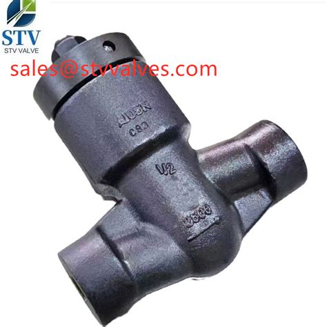 Api 602 Lift Check Valvea105ndn15 2500lbsw End China Valve