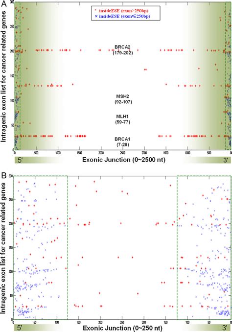 Density Of Missense Nonsense Mutation Inside Ese Motif On Intragenic Download Scientific