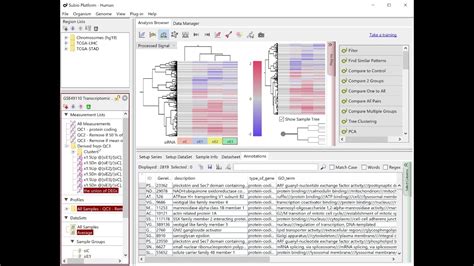 rnaseq tpm