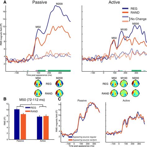 Detecting And Representing Predictable Structure During Auditory Scene Analysis Elife