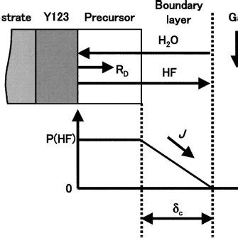 Schematic Model Of The Local Cross Section During The Y123 Growth
