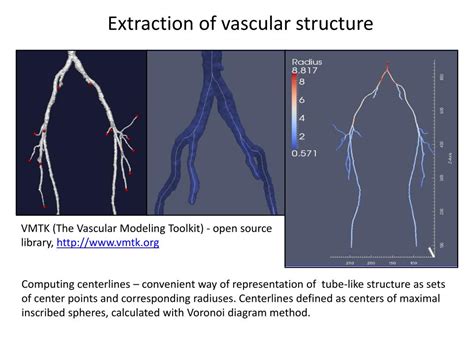 Ppt Patient Specific Reconstruction Of Vascular Network For
