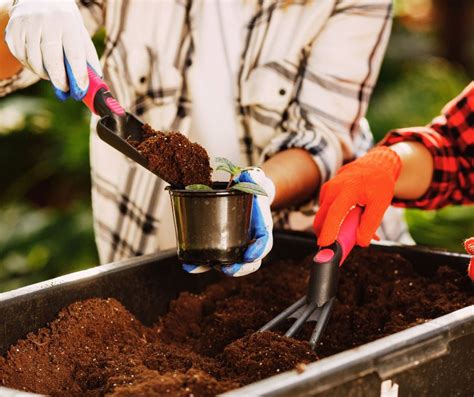 How To Use Compost For A Thriving Garden The Complete Guide Garden Compost Guide