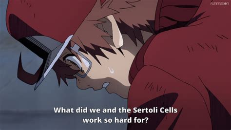 Episodes 3 4 Cells At Work Code Black Anime News Network