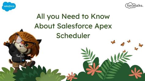 All You Need To Know About Salesforce Apex Scheduler The Ultimate Guide R