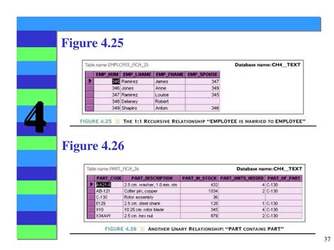 ppt entity relationship model in database systems powerpoint