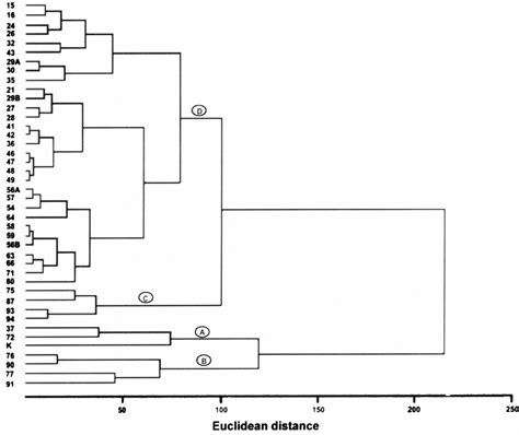 a dendrogram showing the similarity and successive clustering of 42