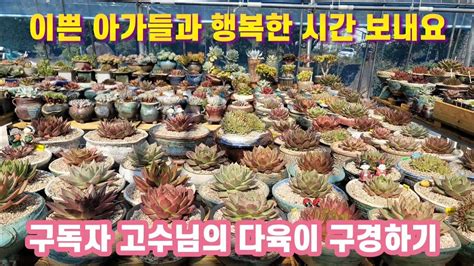 경치 좋은곳 고수님의 아가들구경 묵둥이 아가들의 넘치는 매력 가을 알록달록 물들은 아가들 구경 Youtube