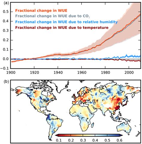 Esd Metrics Spatial And Temporal Variations In Plant Water Use Efficiency Inferred From Tree