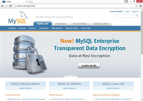 Mysql の インストール Windows Galife Mysql の インストール Windows Galife