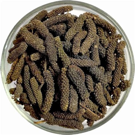 Piper Chaba Seeds At Rs 3400kg Tree Seeds In Dehradun Id