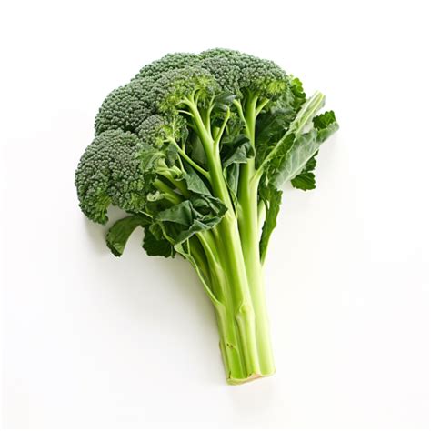 Broccoli Raab Spring Rapini Seedphony