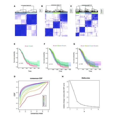 Heterogeneous Clustering Analysis For 60 Ferroptosis Related Gene