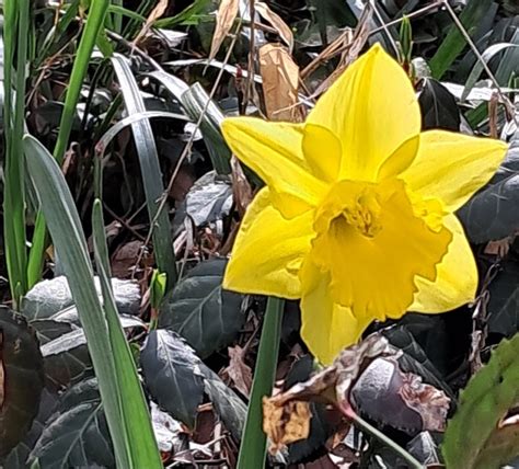 최고의 교육 자녀교육 명언 네이버 블로그