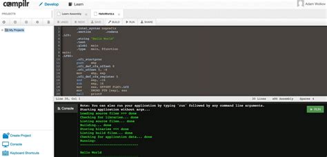 learning while doing adam wolkov