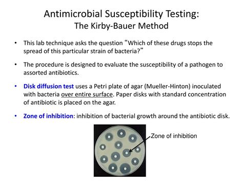 Ppt Lab 8 Approach To Identification Api System And Antimicrobial