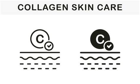 Skin Layer Vector Art Icons And Graphics For Free Download