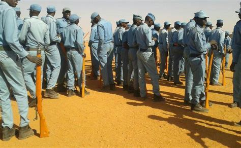 بياده 8 مجانين