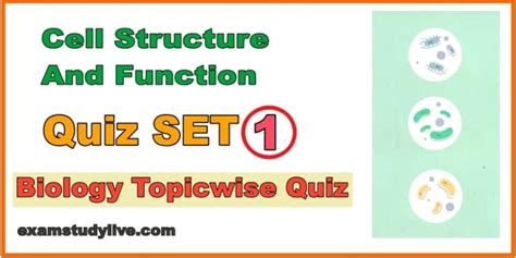 Quiz On Cell Structure And Function Biology Gk SET 1 ExamStudyLive
