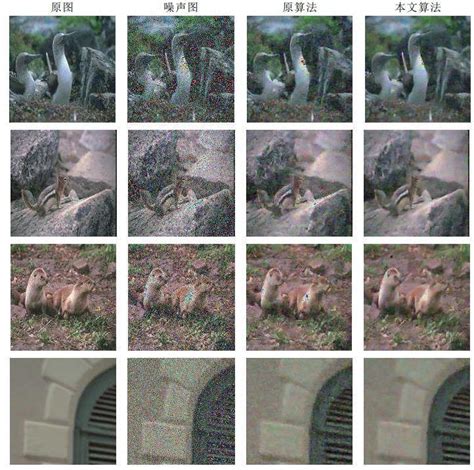 华院论文 基于自编码卷积神经网络的图像去噪算法 知乎