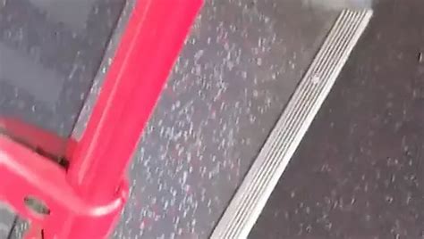 Free MILF Feet Porn Videos 40 XHamster Free MILF Feet Porn Videos 40 XHamster