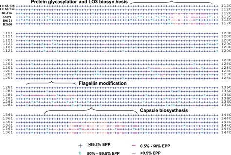 Microarray DNA DNA Hybridization Of C Jejuni Chromosomal DNAs A Glass Download Scientific