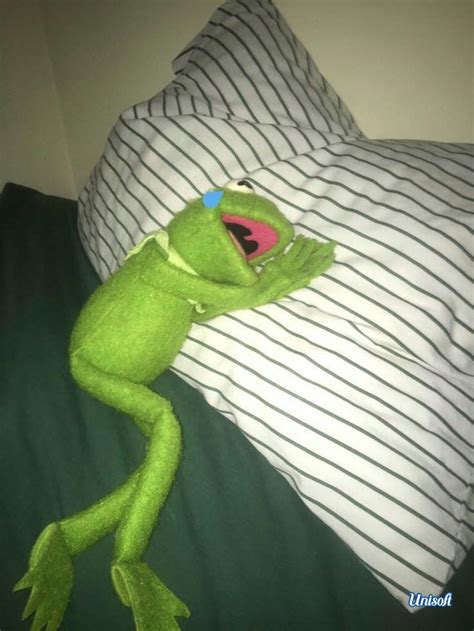 46 Meme Ếch Hài Khiến Bạn Cười Ngả Nghiêng