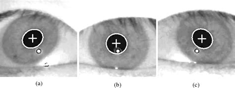 Binocular Gaze Detection Method Using A Fuzzy Algorithm Based On