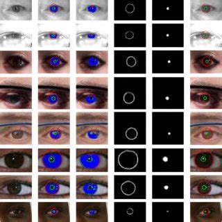 PDF Towards Complete And Accurate Iris Segmentation Using Deep Multi Task Attention Network