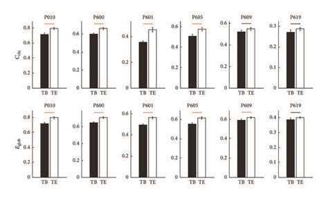 Lfp Functional Connectivity Properties A Illustration Of The