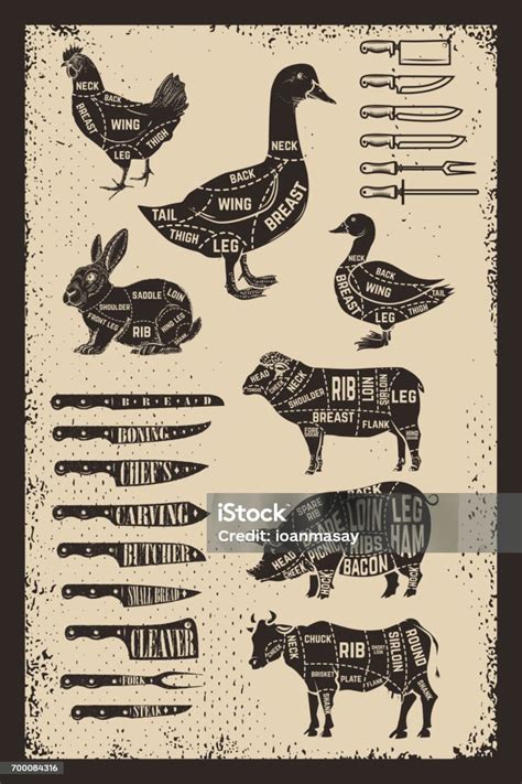 양고기 거 위 돼지 소 토끼 오리 닭에 대 한 절단 고기에 대 한 다이어그램 가이드 포스터 메뉴 레스토랑 전단지 디자인 요소입니다 벡터 일러스트 레이 션 정육점 주인에 대한