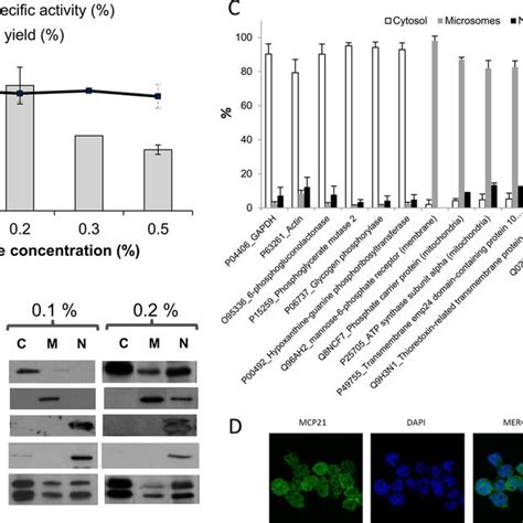 Optimization Of Cross Linking With Formaldehyde And Validation Of The Download Scientific