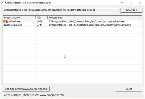 Roblox Injector June Colorventure