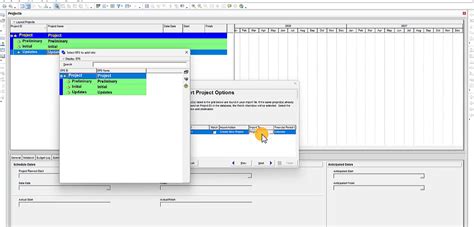 Primavera P Training Beginners CPM SS