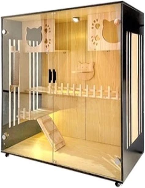 Amazon Cat Breed At Darrel Ferreira Blog