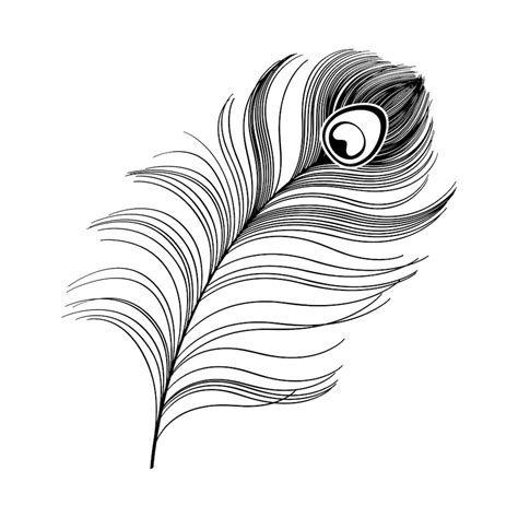 Premium Vector Black Vector Peacock Feather Silhouette