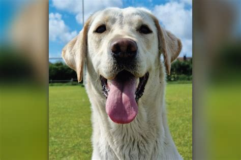 Rehabbed Sex Offender Interviewed By Vice News Sent D K Pic To Producer