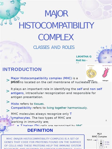 Major Histocompatibility Complex Pdf Major Histocompatibility Complex T Cell
