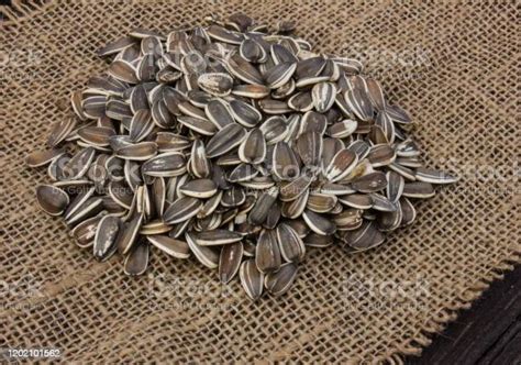 배경과 마른 해바라기에 대한 나무 테이블에 삼베 가방에 원시 해바라기 씨앗 생태 포장에 해바라기의 튀긴 곡물 건강한 식생활에