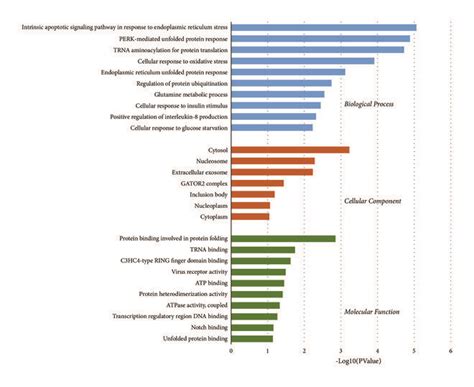 Go Analysis For Biological Process Cellular Component And Molecular Download Scientific