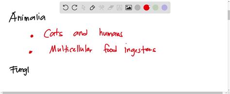 Solved Match Each Of The Following Characteristics Into The Correct Eukaryotic Kingdom Based On
