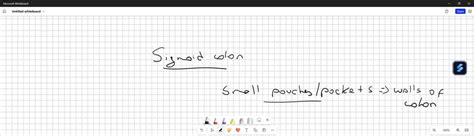 Solved Colon Polypectomy Path Is M1 Adenocarcinoma No Residual On Sigmoid Resection What Is