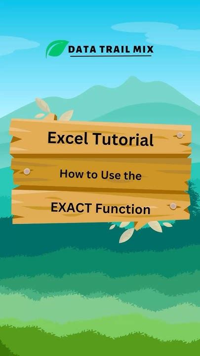 Exact Function Excel Tutorial Shorts Excel Youtube