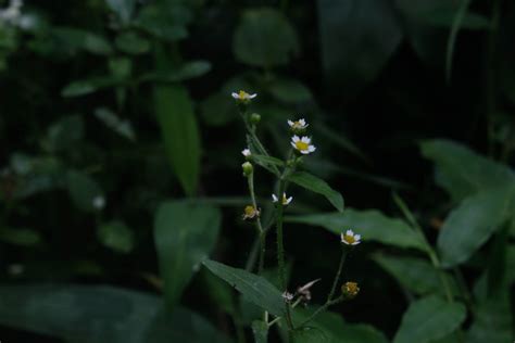 Advanced Sql Logical Query Processing By Itzik Ben Gan Hell Read