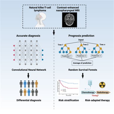 Artificial Intelligence For Diagnosis And Prognosis Prediction Of