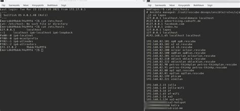 sync the etc hosts file to the docker image platform development