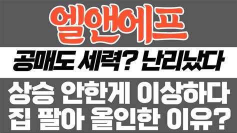 엘앤에프 엘앤에프주가전망 엘앤에프주가 엘앤에프전망 엘앤에프분석 엘앤에프목표가 엘앤에프실적 엘앤에프종목분석 엘앤에프 엘앤에프전망 엘앤에프주가 엘지엔솔
