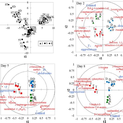 Partial Least Squares Discriminant Analysis Results Of Different Days